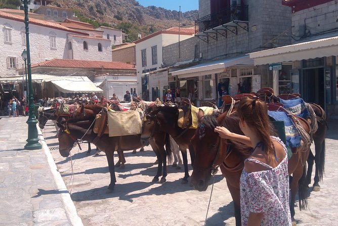 Hydra Island Day Tour With Your Private Guide in the Most Cosmopolitan Island - Booking and Cancellation Policy