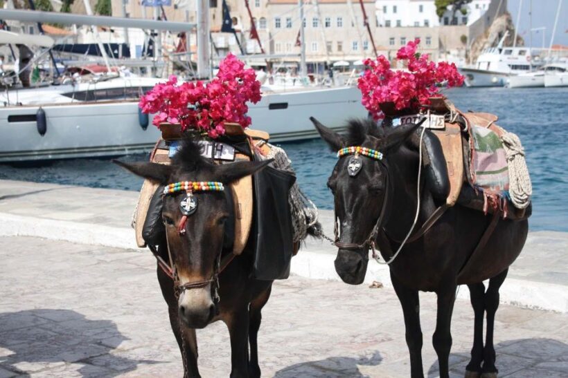 Hydra & Poros: 2 islands private day tour from Athens - Evening Return