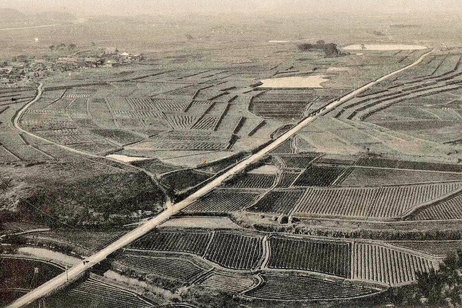 Hyogo E-Bike Tour Through Rural Japan - Experiencing the Stunning Scenery