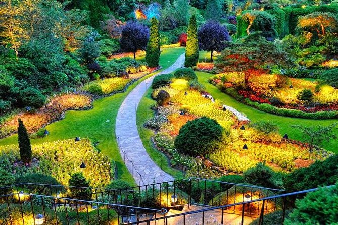 I Day Kandy City Tour - Authentic Experiences and Traveler Feedback