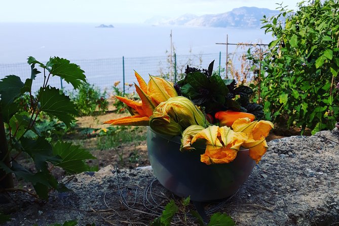 I Offer Cooking Lesson of Amalfi Tradition - Ratings, Reviews, and Recommendations