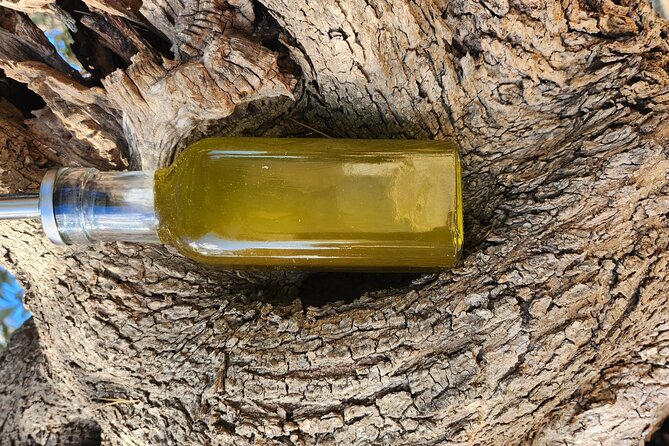 I wil explain you everything about our extravirgin olive oil - Why Visitors Love This Tour