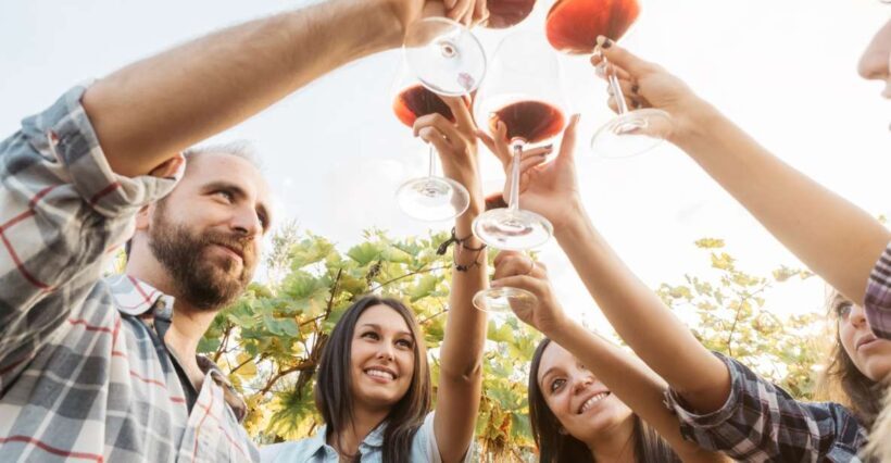 ian: Organic Winery Tour and Tasting Experience - Key Points