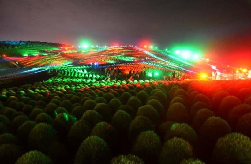 Ibaraki: Pear Picking, Shopping, and Kochia Light-Up Tour - Starting Point: Shopping at Ami Premium Outlets