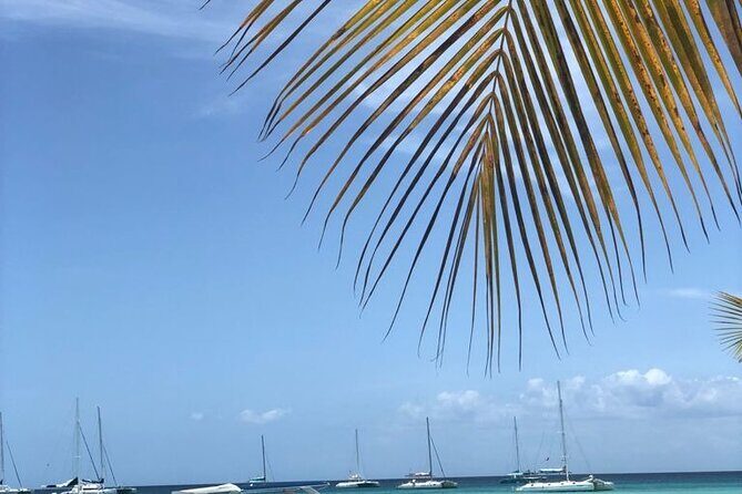 Iberostar Grand Bavaro - Round Trip Shuttle - Punta Cana Airport - The Vehicle and Comfort