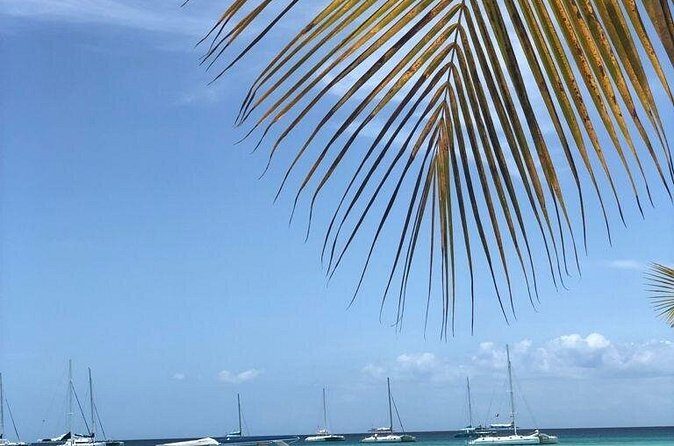 Iberostar Grand Bavaro - Round Trip Shuttle - Punta Cana Airport - What Makes This Transfer Stand Out?