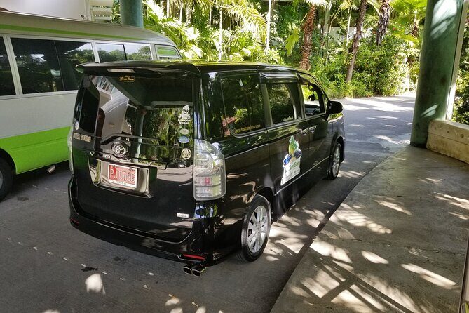 Iberostar Rose Hall Private Airport Transfer - What to Expect from the Iberostar Rose Hall Private Airport Transfer