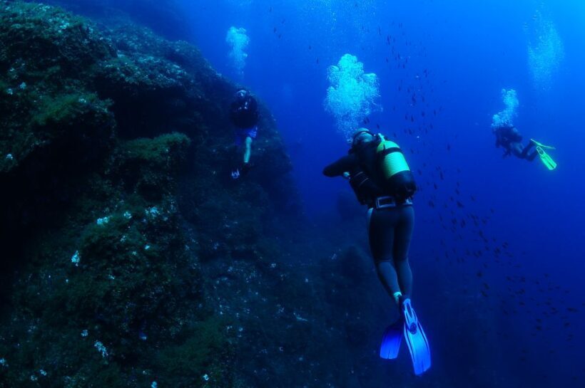 Ibiza: 3.5-Day PADI Open Water Dive Course - The Itinerary: Step-by-Step Breakdown