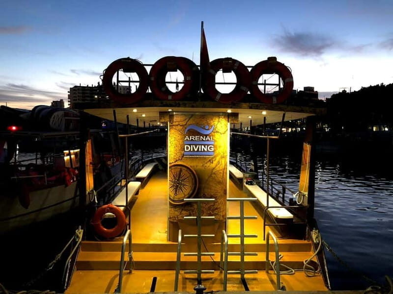 Ibiza: 3-Hour Private Sunset Boat Cruise for Large Groups - Introduction