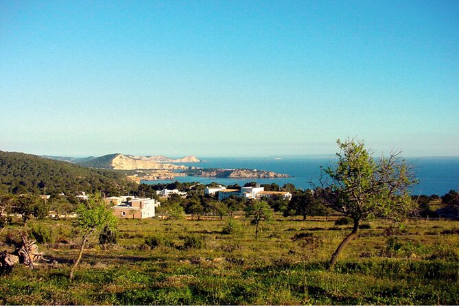 Ibiza Beaches and Villages Private Tour - Who Should Consider This Tour?