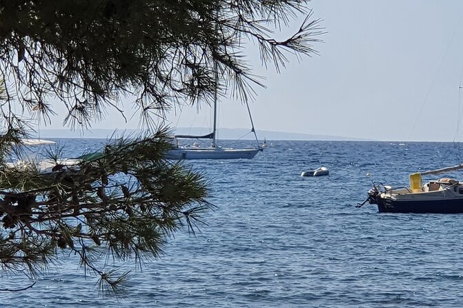 Ibiza Boat Trip to Formentera | Full-Day Experience - Health and Safety Guidelines