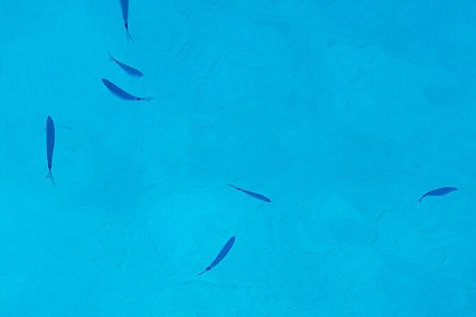 Ibiza Boat Trip to Formentera | Full-Day Experience - Booking Information