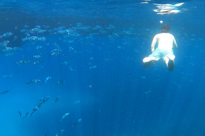 Ibiza Catamaran Cruise Es Vedrà Morning or Sunset - Inclusions and Amenities