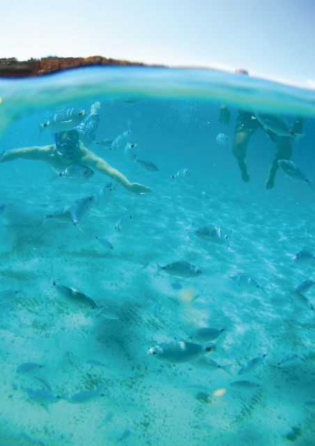 Ibiza: Classic Full or Half-Day Boat Charter - Why a Private Boat Charter on Ibiza is a Great Choice