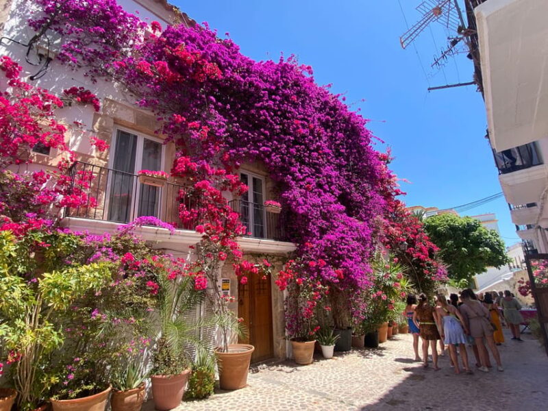 Ibiza: Dalt Vila Walking Tour with Sangría Workshop - Key Points