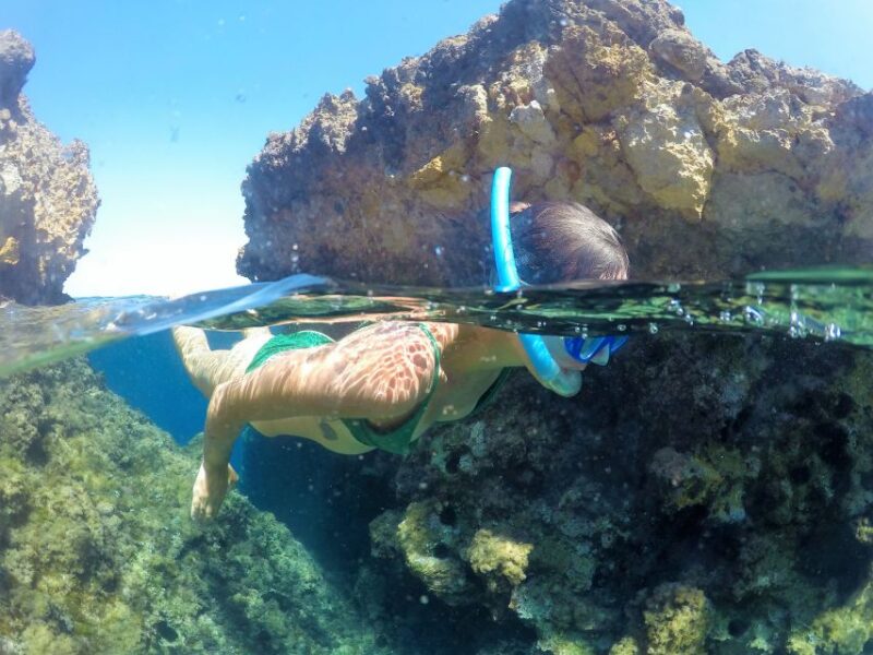 Ibiza: Full Day paddle Boat Tour with Course & BBQ included. - Final Thoughts