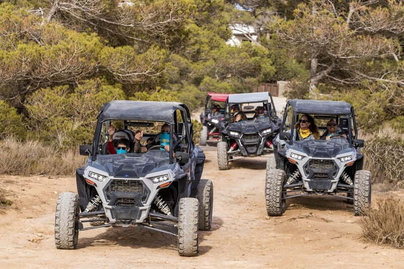 Ibiza: Guided Buggy Tour with Beach Stops - An In-Depth Look at the Ibiza Buggy Tour