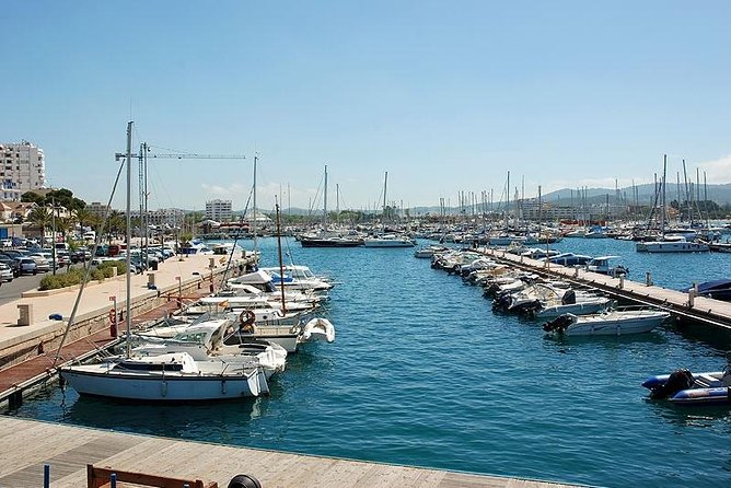 Ibiza Island Tour: Punta Arabi Local Market - Who Is This Tour Best Suited For?