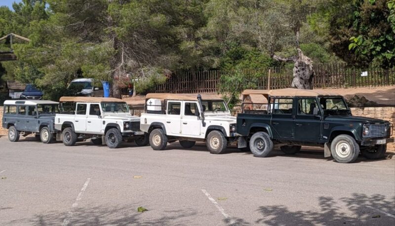Ibiza: Jeep Safari Island Exploration - The Quality of the Guides and Vehicles