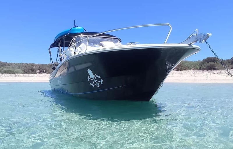 Ibiza: "north of the island" tour from the sea in private boat - The Sum Up