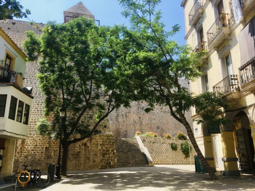 Ibiza: Old Town Guided Walking Tour - Who Will Get the Most Out of It?