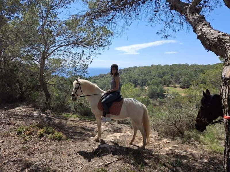 Ibiza: Private Horseback Riding Nature Experience - A Unique Way to Experience Ibiza’s Nature