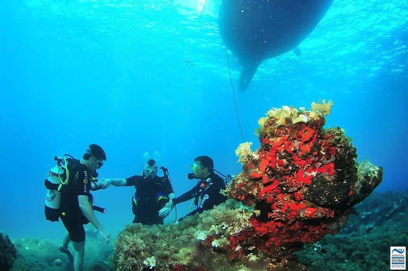 Ibiza Scuba Diving for Beginners and Snorkeling - Introduction: What’s the Experience Like?