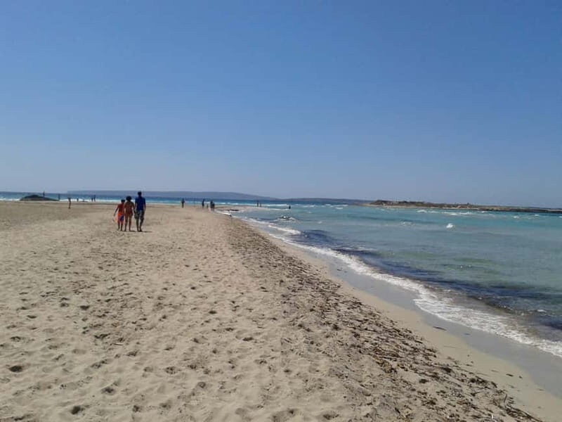 IBIZA sea excursion to Illetas with paella and drink - Frequently Asked Questions