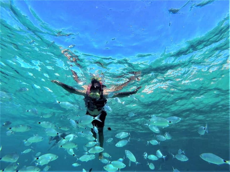 Ibiza: Snorkeling, Sunset Beach and Cave Boat Trip - An Overview of the Ibiza Snorkeling, Sunset, and Cave Boat Trip