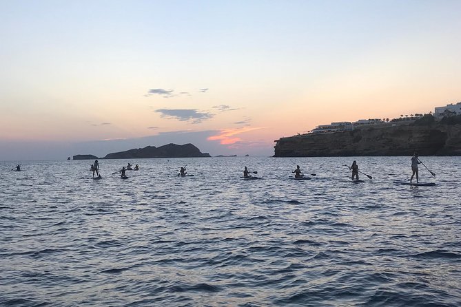 Ibiza Stand Up Paddle Surf Sunset Tour - Professionalism and Expertise of the Tour Operators