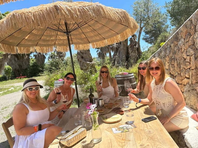 Ibiza Wine Tour: Wine Tasting + Tapas at Winery and Sea View - Key Points