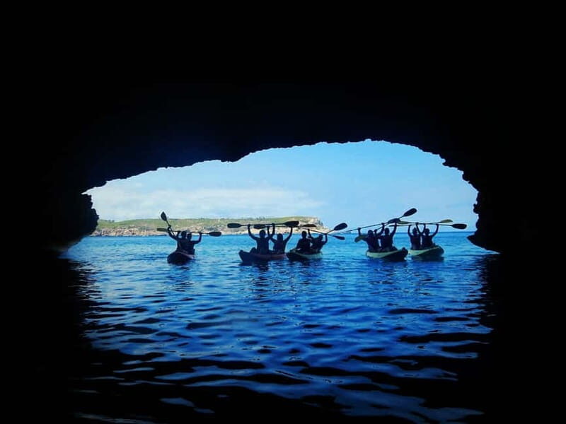 Ibiza: Xarraca Bay Guided Kayaking Tour - Key Points