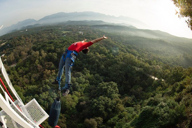 IBO Bungee en Cola de Caballo - The Cost and Value