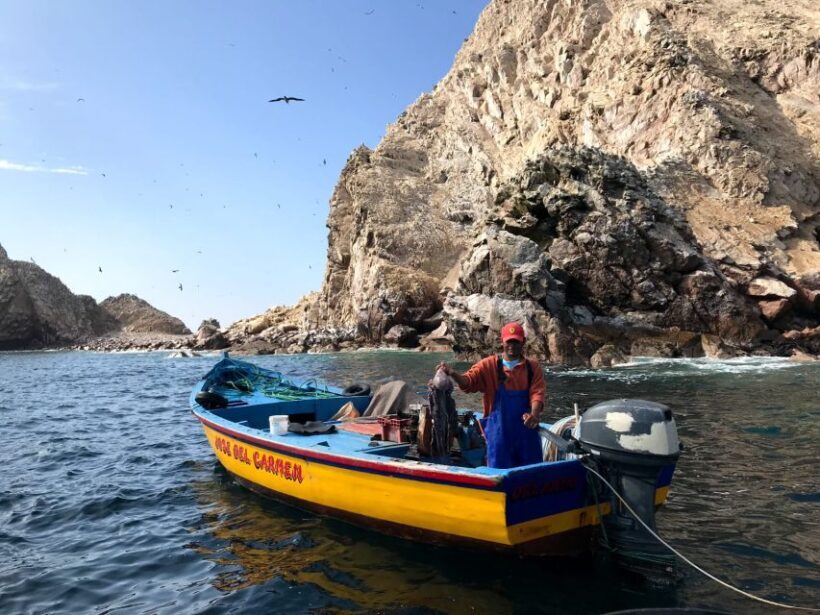 Ica: Ballestas Island & Paracas Reserve Private Tour - The Practicalities and Value