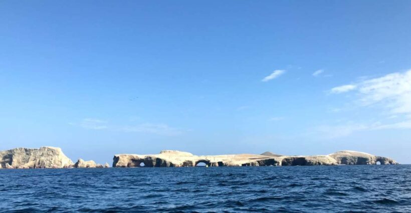 Ica: Ballestas Island & Paracas Reserve Private Tour - The Sum Up: Who Should Consider This Tour?