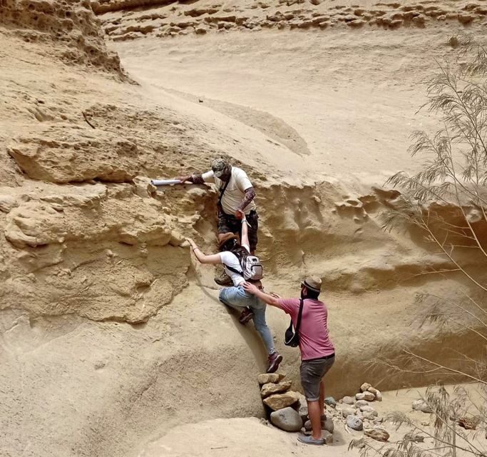 Ica: Canyon of the Lost Tour in Ocucaje Desert - The Sum Up