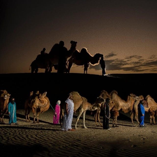 Ica: Dromedaries | swimming pool, games, mini-farm | - Key Points