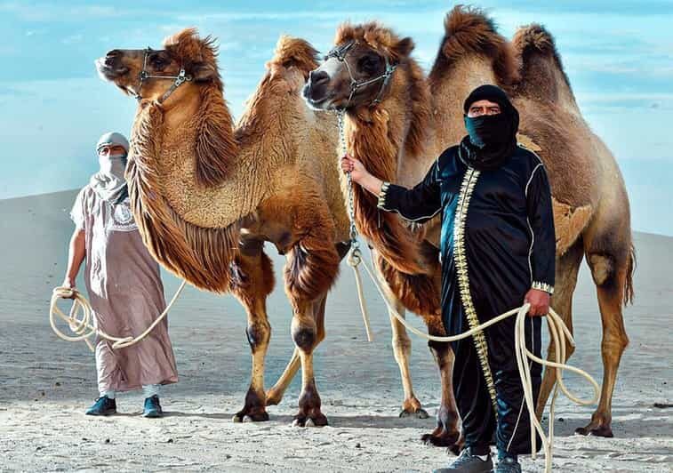 Ica: Dromedaries | swimming pool, games, mini-farm | - Deep Dive into the Itinerary and Experience