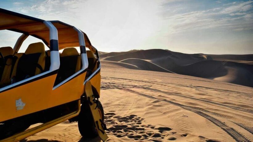 Ica Explora: Discover the Magic of Ica in a Day+Wine Tasting - Key Points