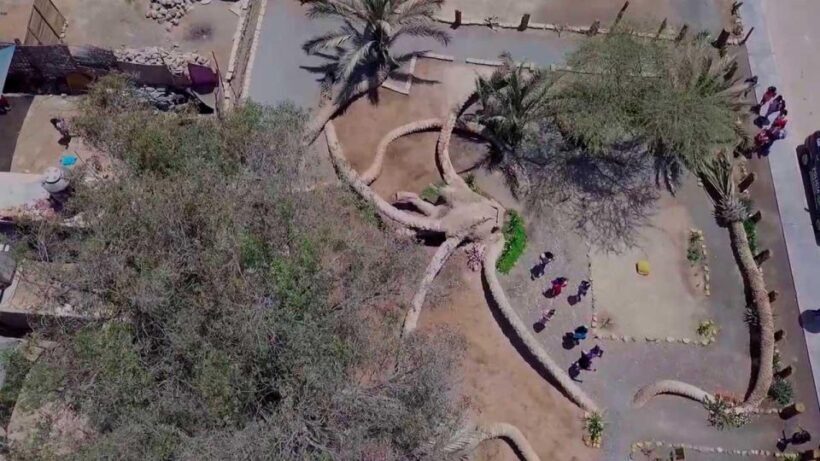 Ica Explora: Discover the Magic of Ica in a Day+Wine Tasting - The Practicalities and Value