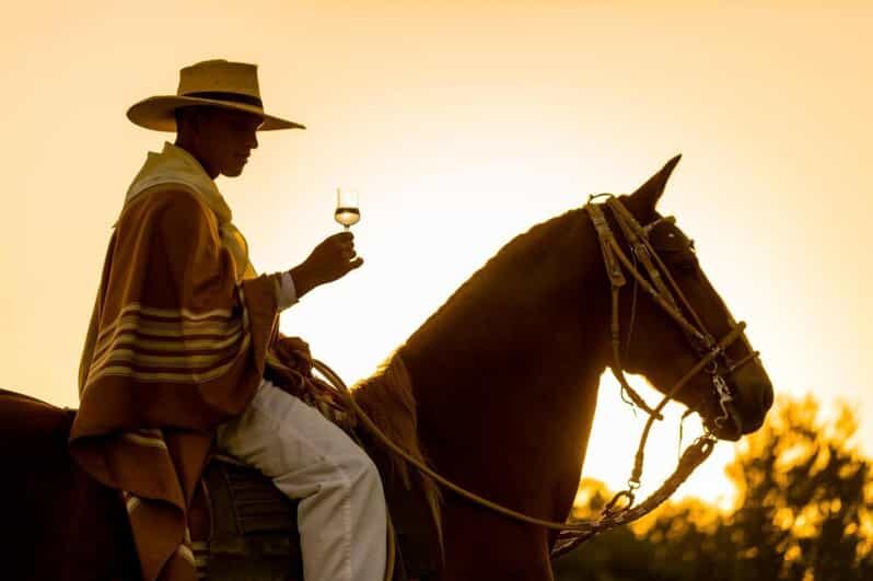Ica: Horseback riding through the La Caravedo ranch - A Closer Look at the Tour