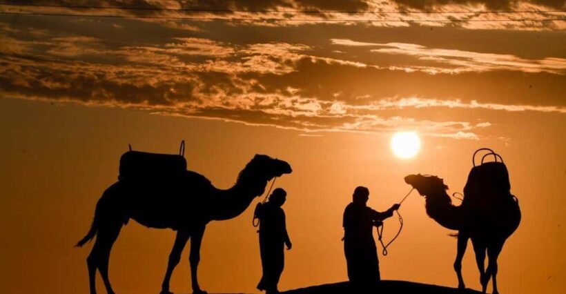 Ica / Huacachina: Camel Ride in the Peruvian Desert - Practical Details and Value