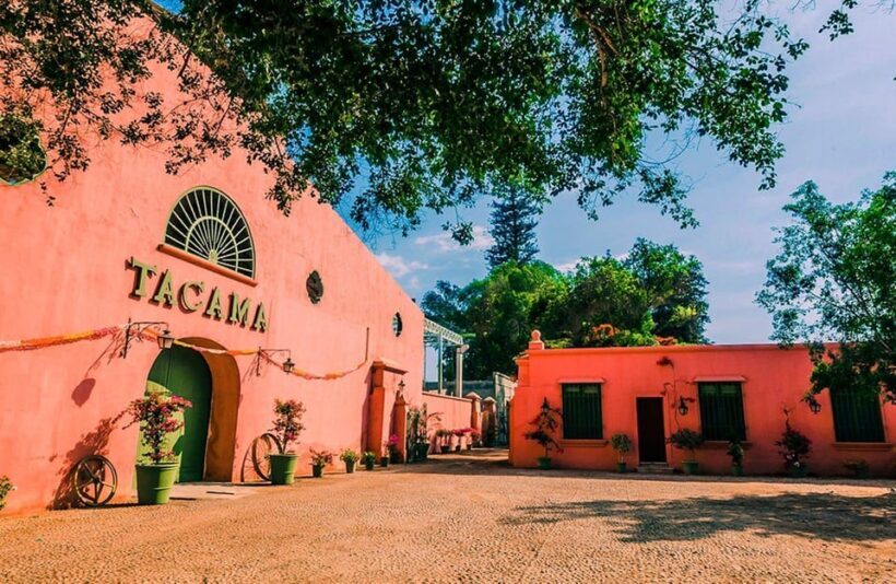 ICA - Pisco and Wine Tasting Experience - The Sum Up: Is It Worth It?