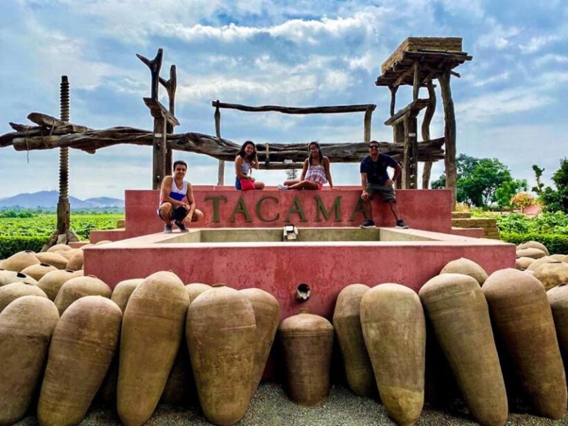 Ica: Pisco Route | Tacama, Arrabal, Bodega Lovera | - An In-Depth Look at the Ica Pisco Route Experience