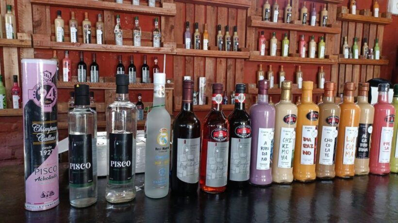 Ica: Pisco Route | Tacama, Arrabal, Bodega Lovera | - Who Should Consider This Tour?