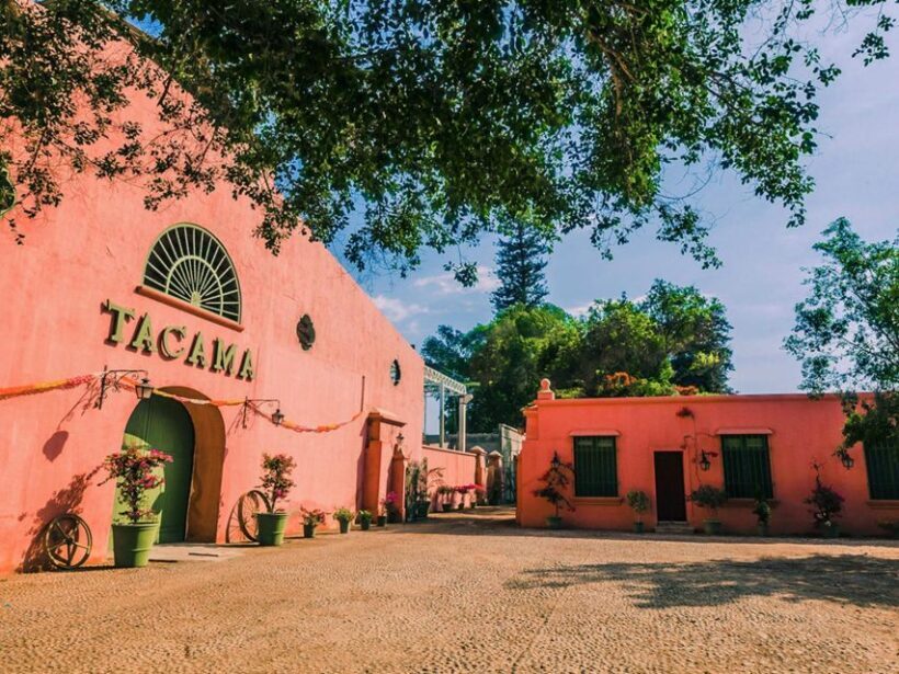 Ica: Pisco Route | Tacama, Arrabal, Bodega Lovera | - The Sum Up: A Well-Rounded Introduction to Ica’s Wines