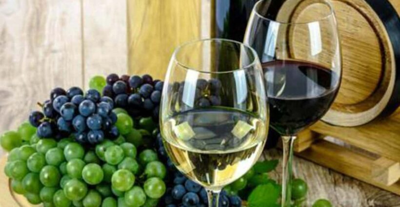 Ica: Pisco Route | Tacama, Arrabal, Bodega Lovera | - Key Points