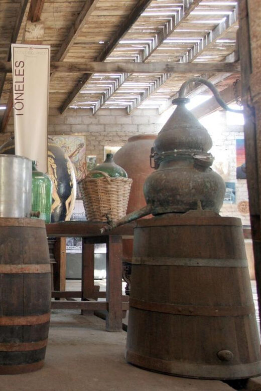 Ica: Pisco Route | Tacama, Arrabal, Bodega Lovera | - An Inside Look at the Tour Itself