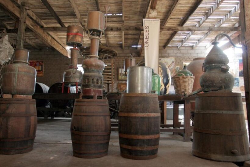 Ica: Pisco Route | Tacama, Arrabal, Bodega Lovera | - The Sum Up