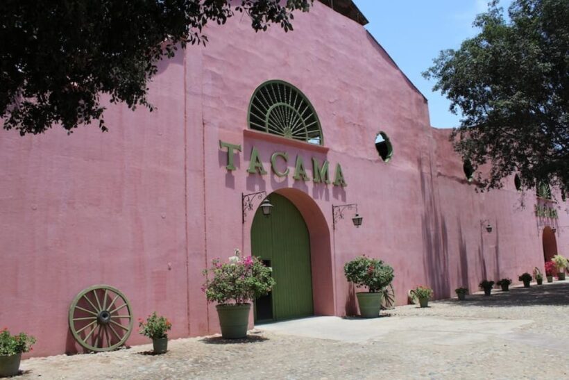 Ica: Pisco Tour | Tacama, Arrabal, Bodega Lovera | - What You’ll Experience